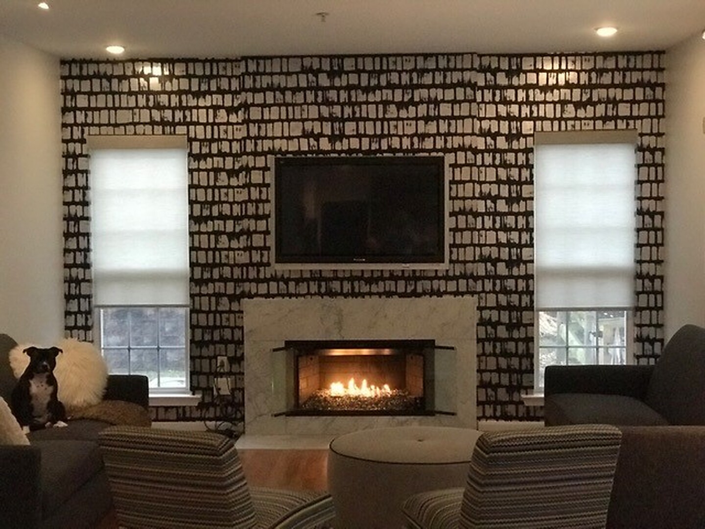 Designer | Vinyl Great Wall