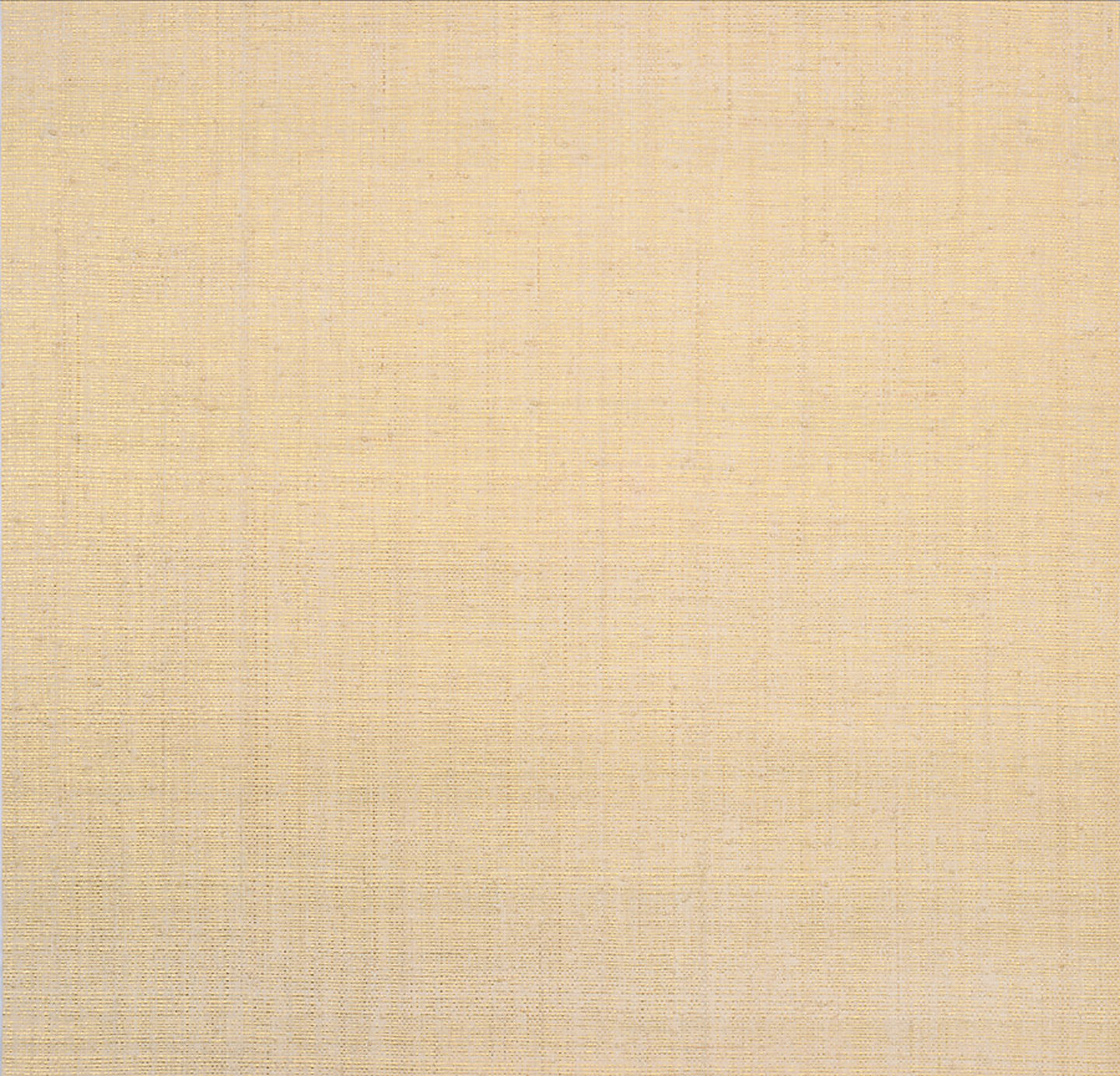 Max's Metallic Raffia - Natural Gem 4530 | Phillip Jeffries