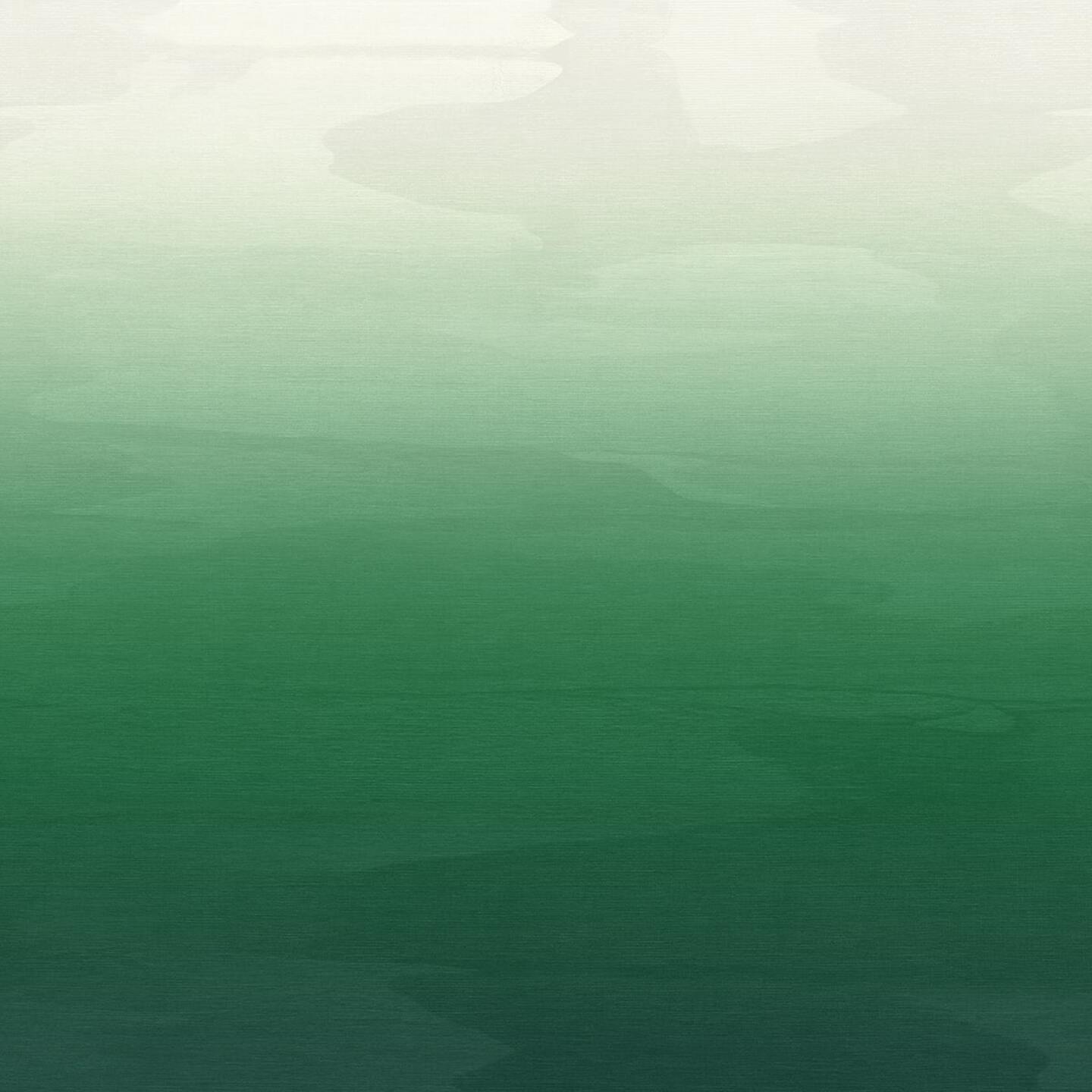 Mirage - Lily Pad On White Vinyl Washi 8731 | Phillip Jeffries