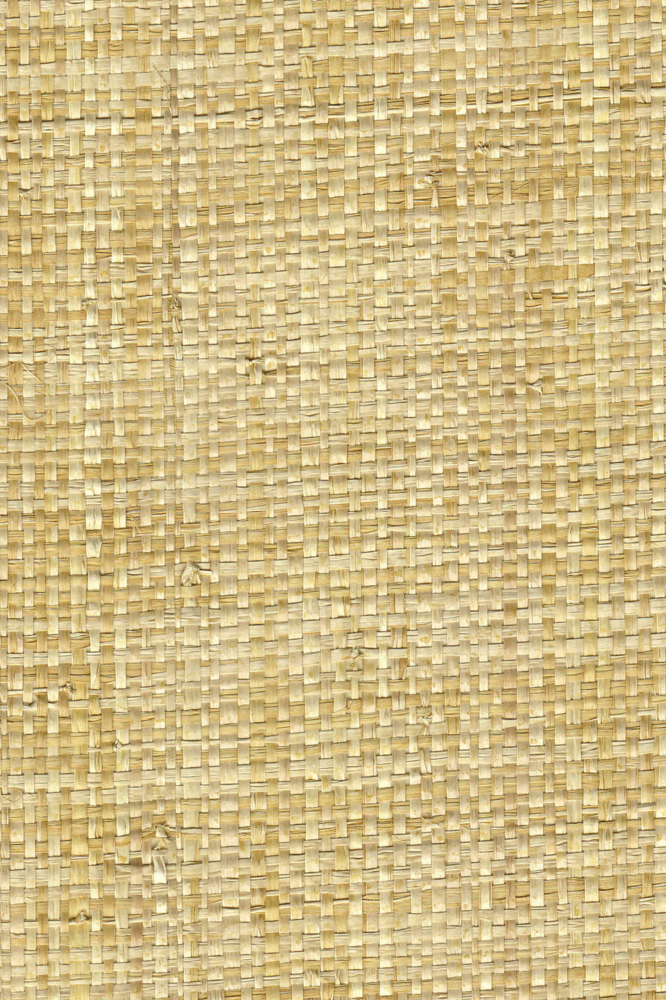 Island Raffia - Portofino Natural 1747 | Phillip Jeffries